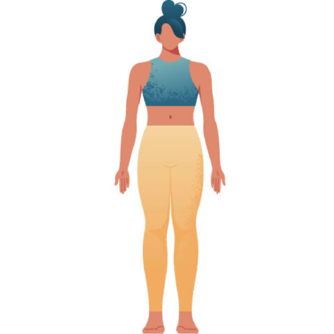 Tadasana - insideyoga.org