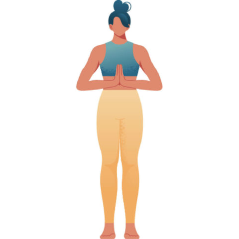 Tadasana - insideyoga.org