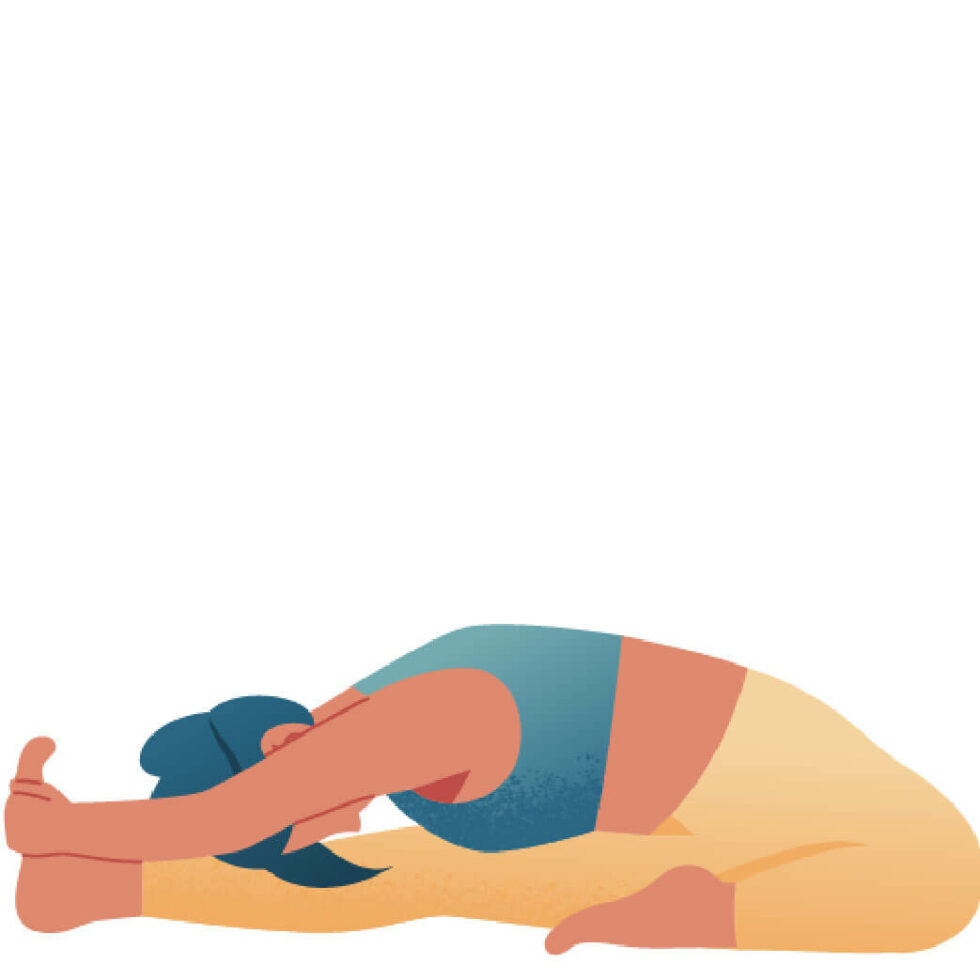 Janusirsasana - insideyoga.org